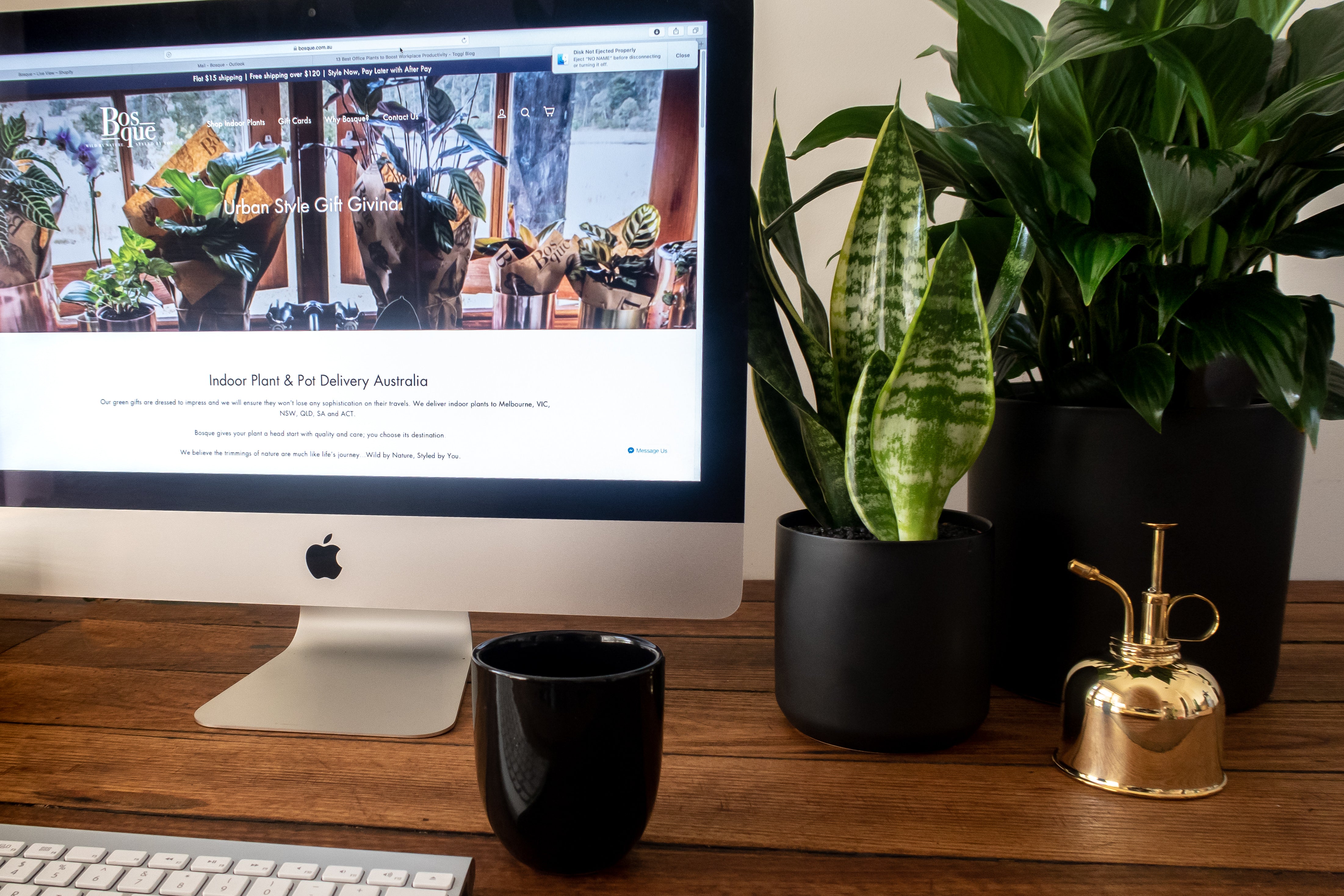 Work from Home? Our Top Houseplants for Productivity. – Bosque